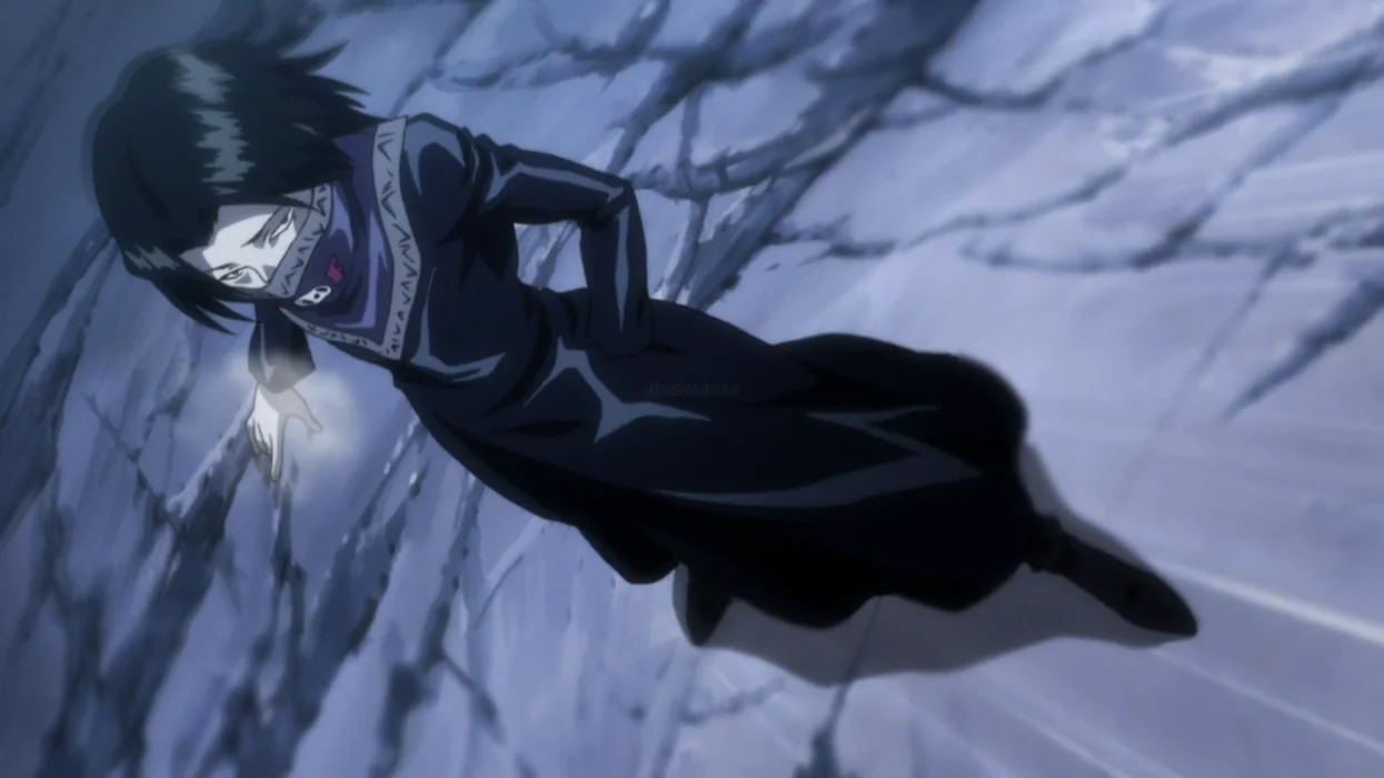 Feitan Pain Packer